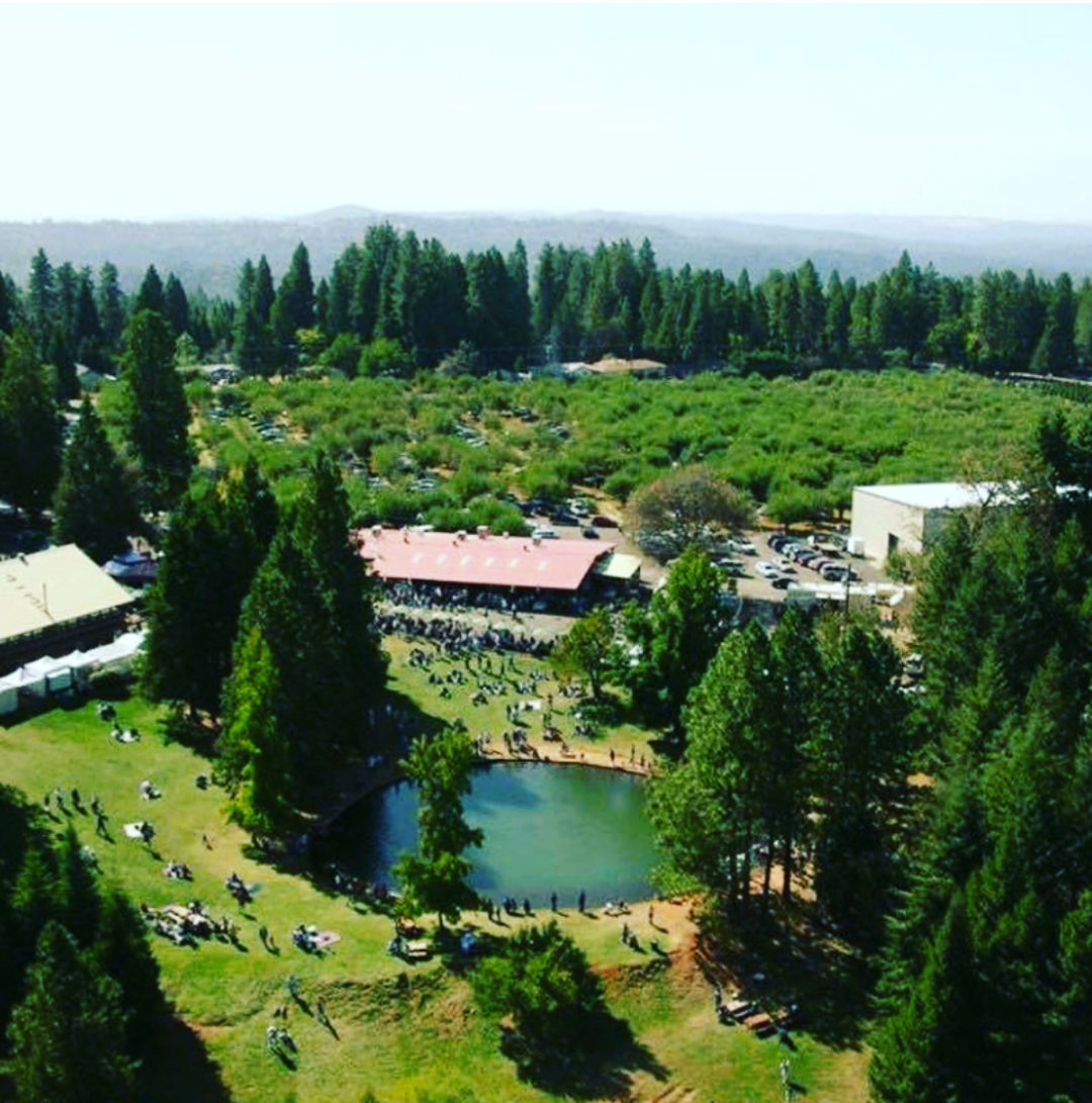 Apple Season Is Here! - Apple Hill Growers Association