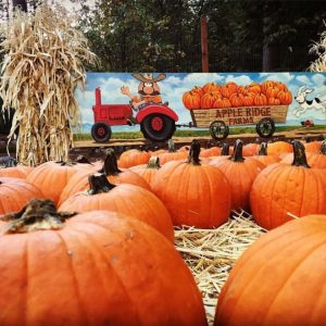 Apple Ridge Farms - Apple Hill Growers Association