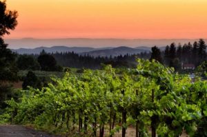 Events from Wed October 2 – Sat March 22, 2025 – Apple Hill Growers ...