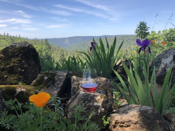 Mother's Day Celebration at Wofford Acres Vineyards - Apple Hill ...